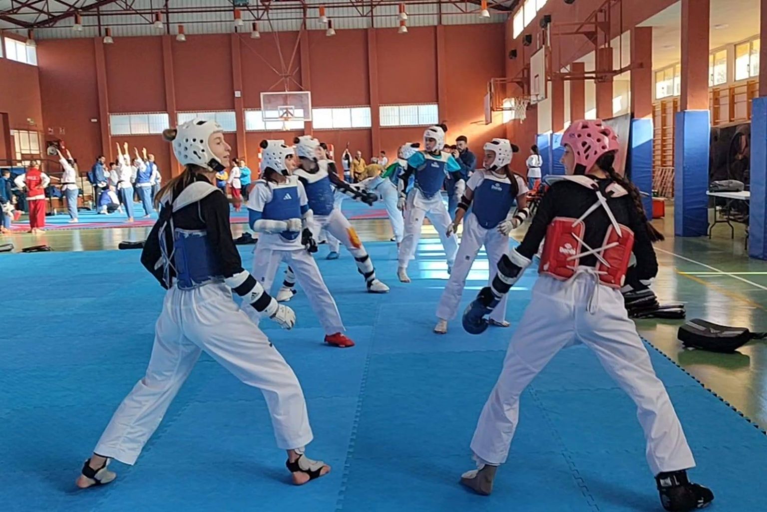 CONCENTRACIÓN EQUIPOS POOMSAE Y COMBATE 30 DICIEMBRE 2025 MOLLINA ...