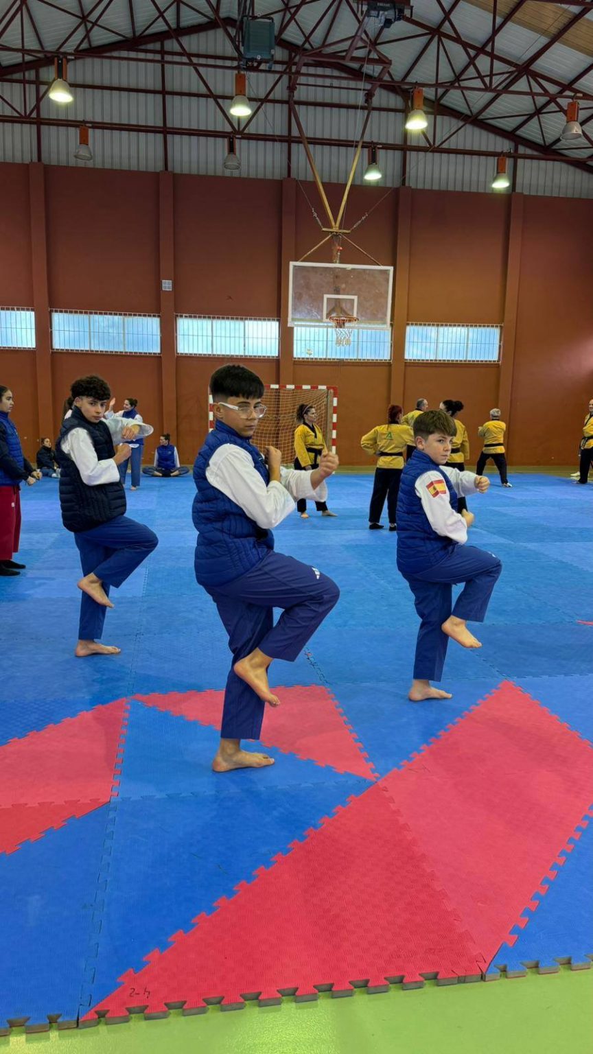 CONCENTRACIÓN EQUIPOS POOMSAE Y COMBATE 30 DICIEMBRE 2025 MOLLINA ...