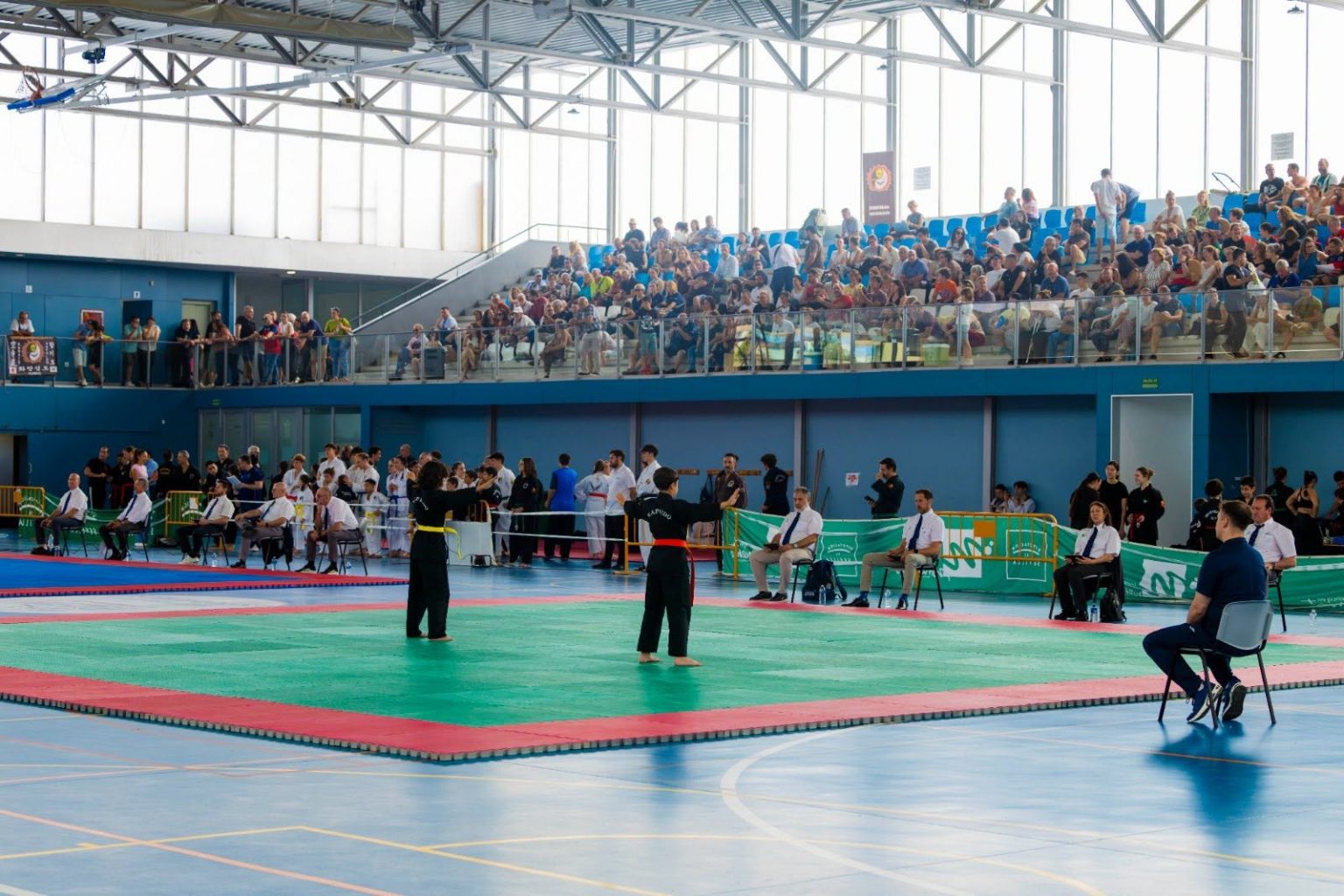 CAMPEONATO ANDALUCÍA HAPKIDO ABSOLUTO Y PROMESA 06 JUNIO 2026 ...
